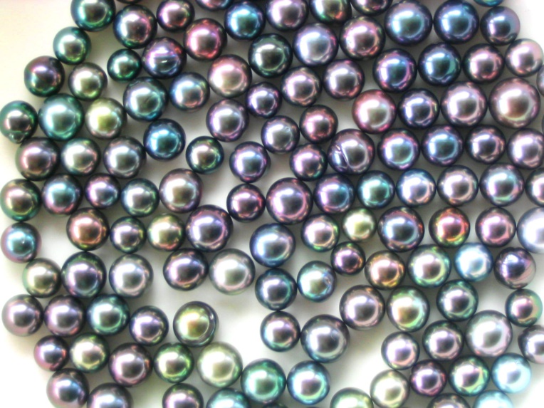 La belle perle sous toutes ses formes et ses couleurs