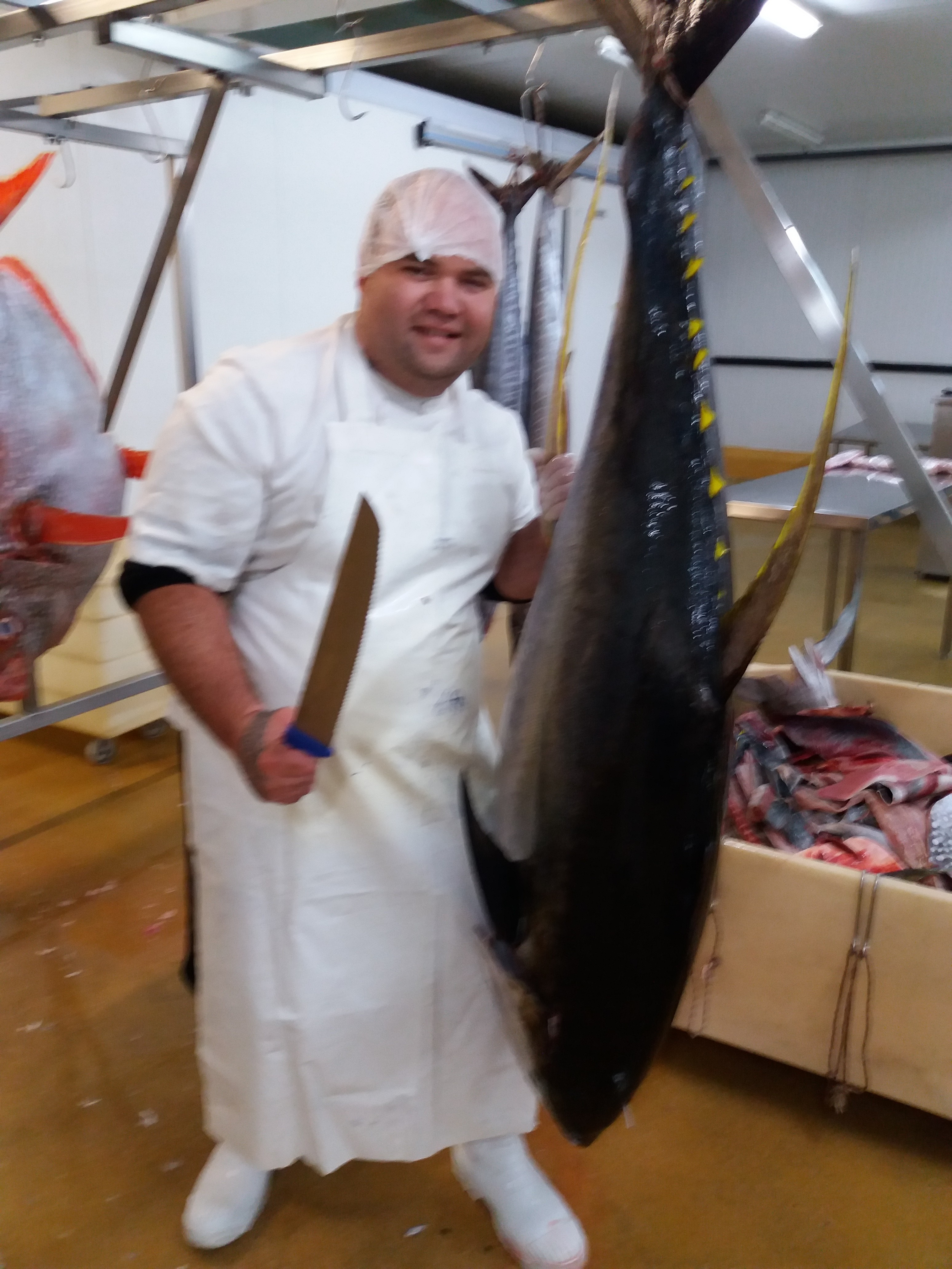 Formation Poissonnerie : 11 professionnels fraîchement diplômés